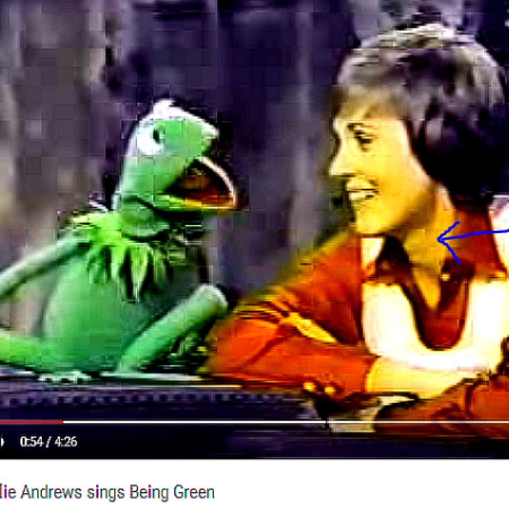 Julie Andrews and Kermit - The Blood of King Yeshua